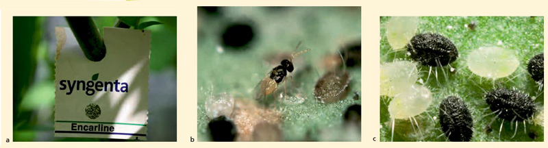 10.1 Natural Plant Protection