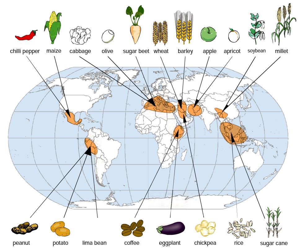 2.2 Centres of Origin and Plant Domestication